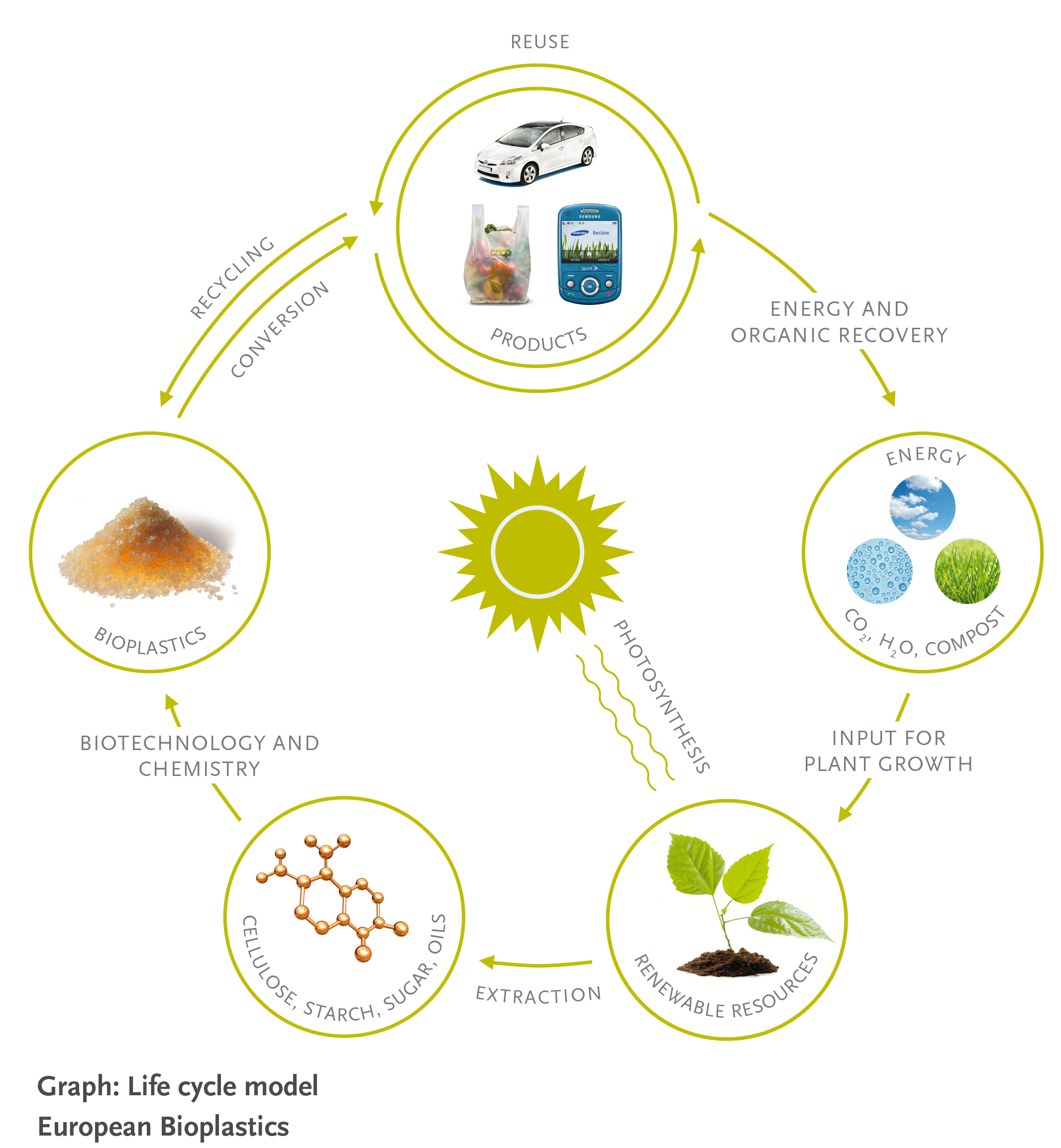 Bio-based plastics play an essential role in the future circular ... Bio-based plastics play an essential role in the future circular ...