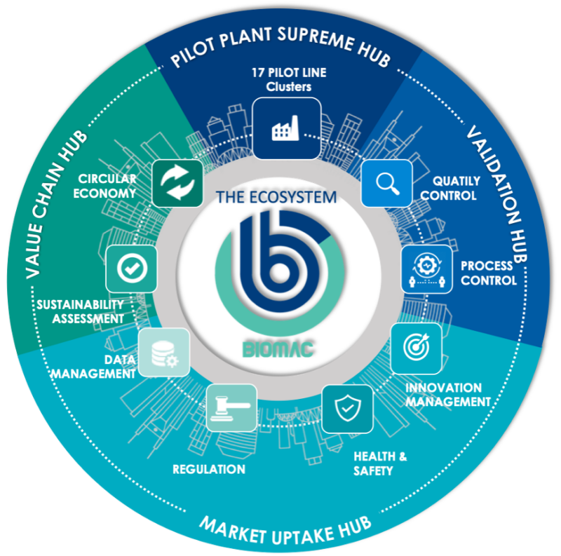 Half time at BIOMAC: research project provides new opportunities to ...
